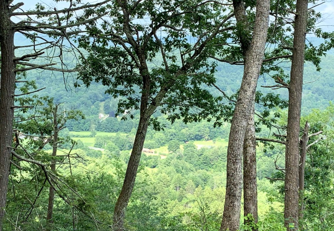 Deer Hill Hiking Trail – Aton Forest