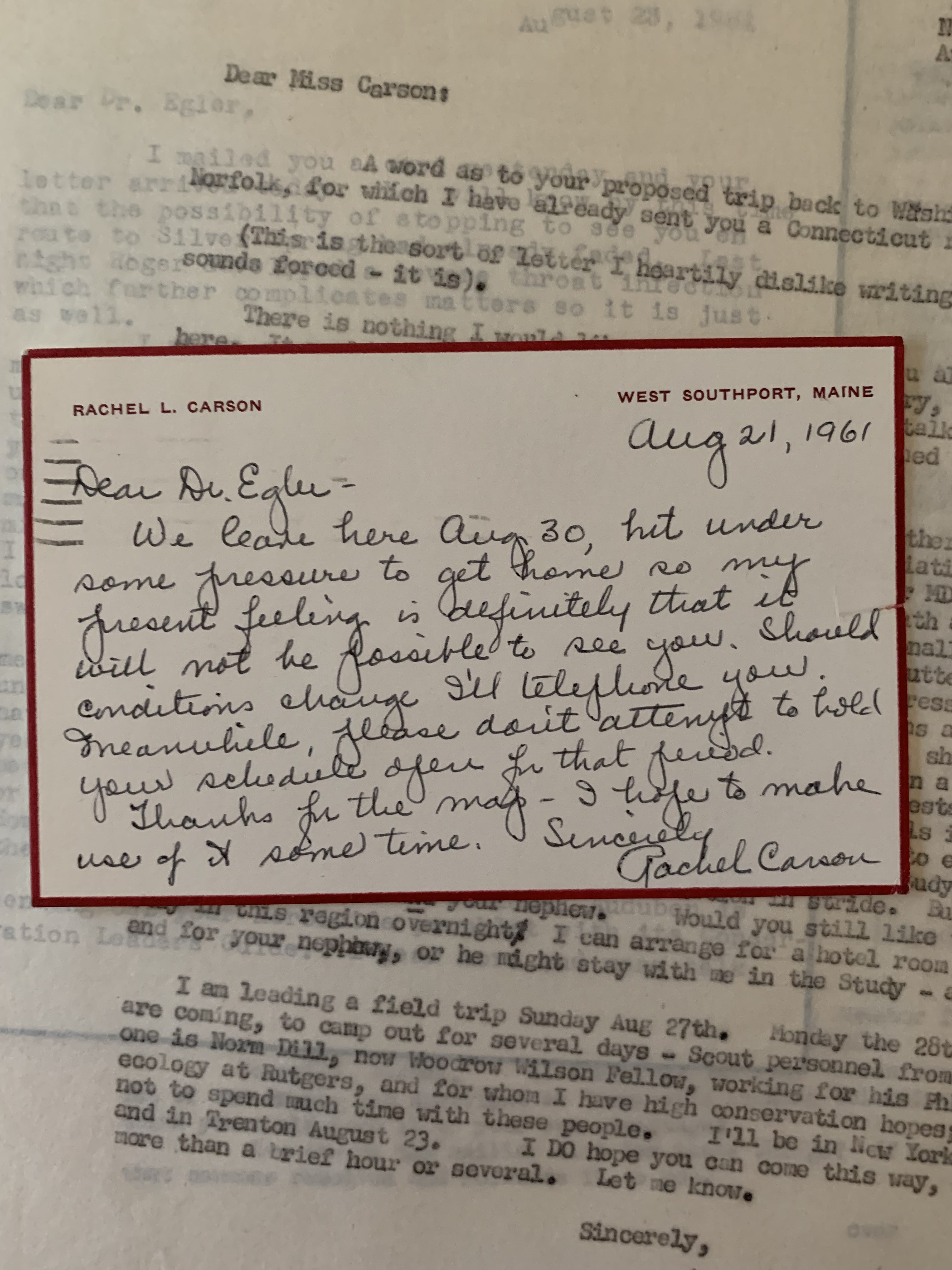 Frank Egler Archives – Aton Forest